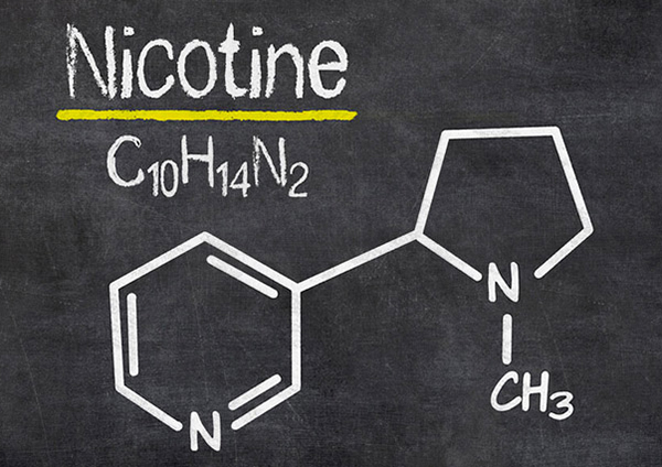 რა ვიცით ნიკოტინის შესახებ? (R) - მკურნალი.გე